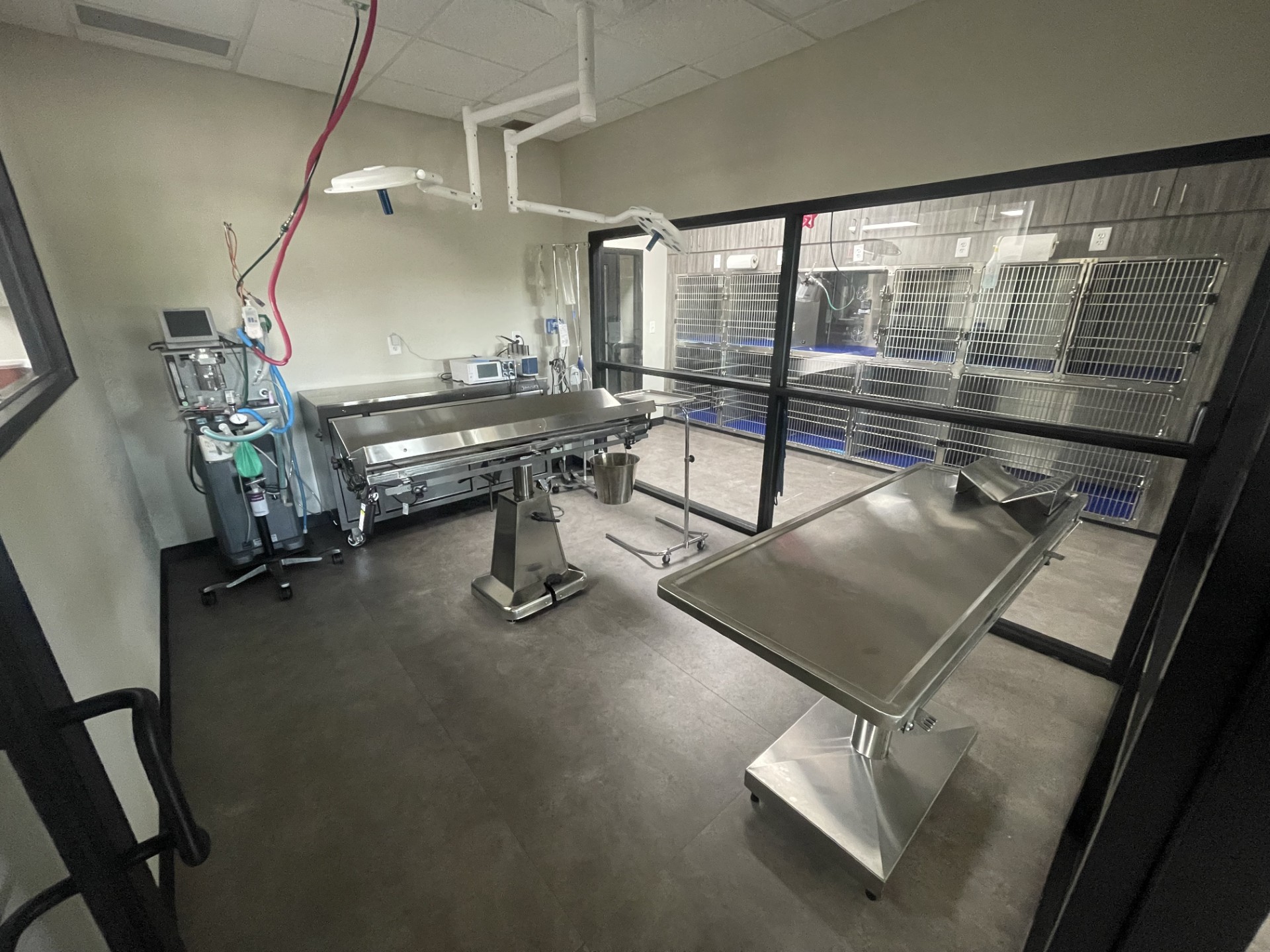 Tour Our Facility | Westside Animal Hospital